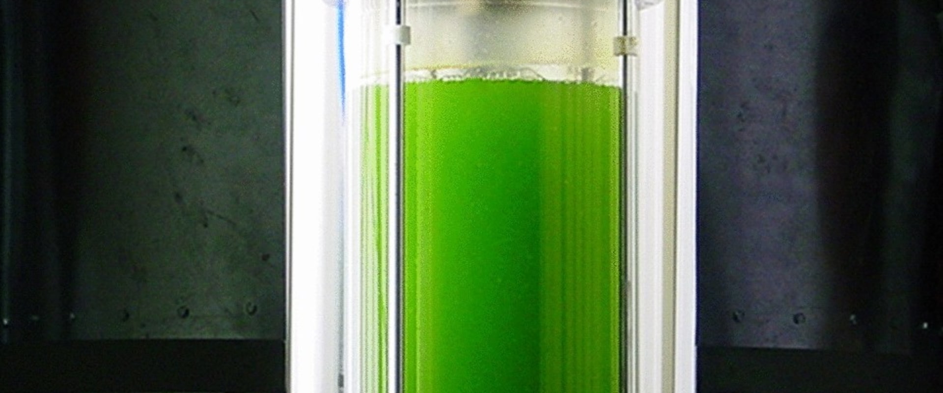 An in-depth look at Closed Photobioreactor Systems for producing bio ...